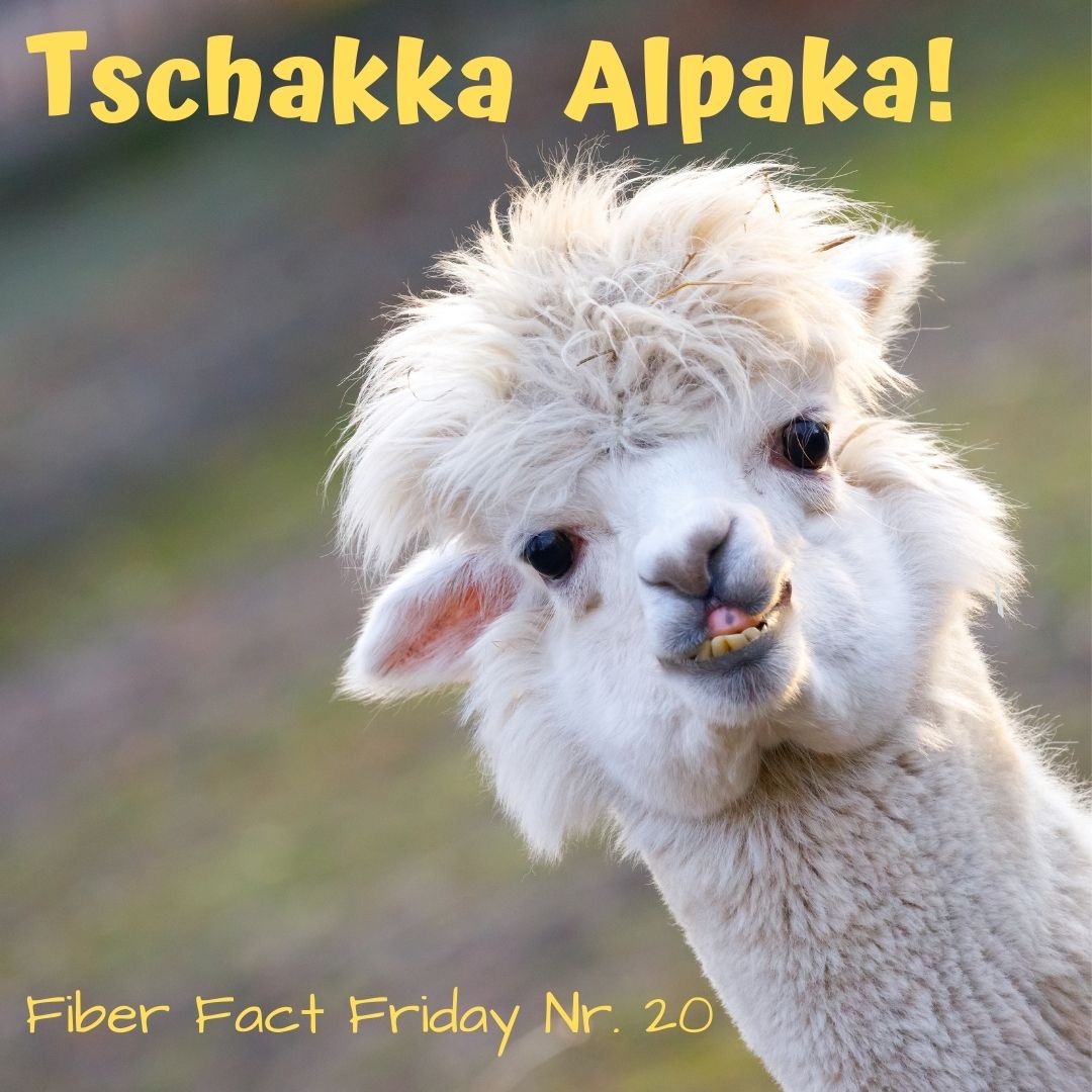 Fiber Fact Friday Nr. 20: Tschakka Alpaka! – ScreamingColoursBlog